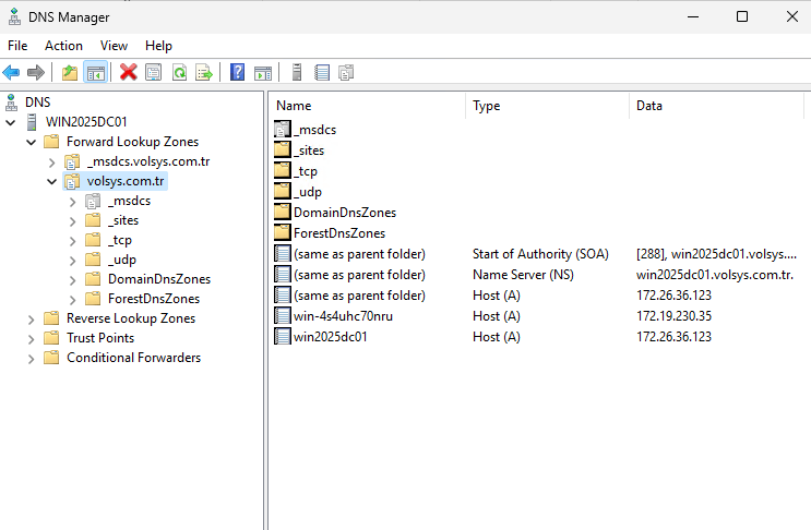 Windows Server 2025 DNS Zone Export – Import – Active Directory – Cyber ...